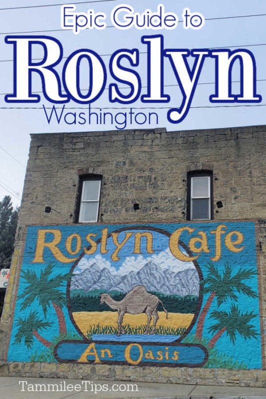 Epic Guide to Roslyn Washington