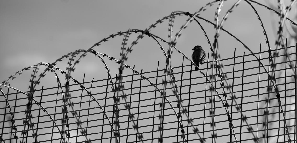 Στις φυλακές Κορίνθου ο 20χρονος, ο οποίος ομολόγησε τη δολοφονία ...
