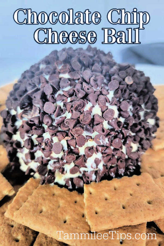 Chocolate Chip Cheese Ball Recipe (Make ahead)