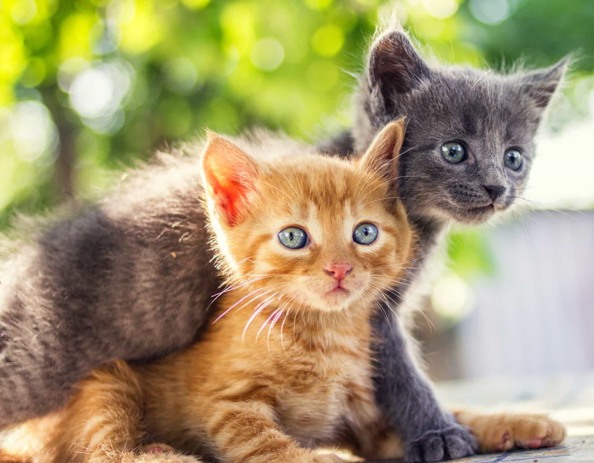 The best psychological thrillers of all time