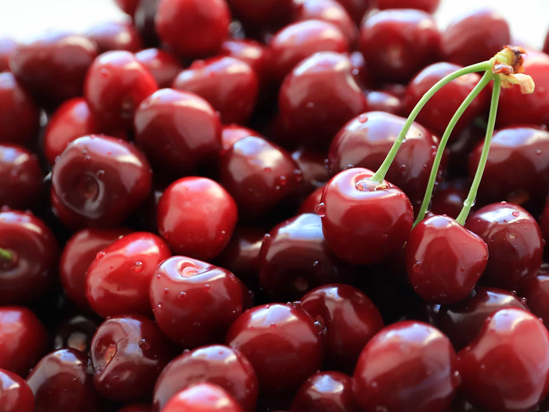 Découvrez les bienfaits insoupçonnés de la cerise