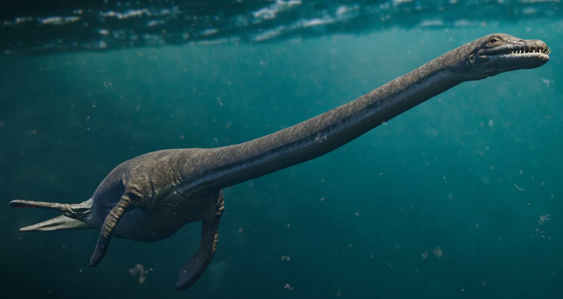 Is the Loch Ness Monster real?
