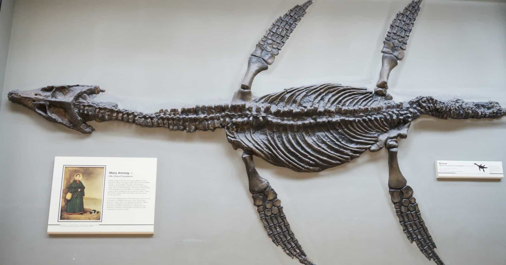 Is the Loch Ness Monster real?