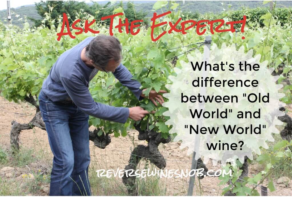 What's the difference between Old World and New World wines?