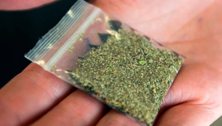 Qué Es La Marihuana Sintética Es Peligrosa