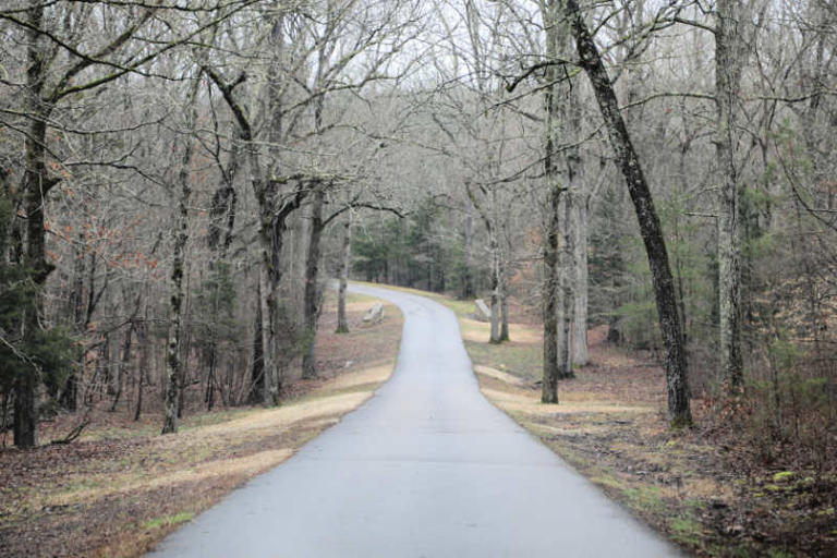 Complete Guide to Shiloh National Military Park