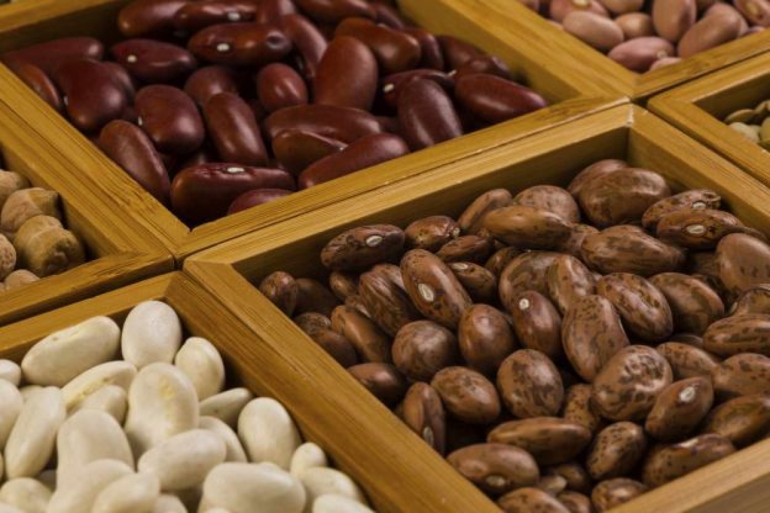 50 Foods that Fight Belly Fat