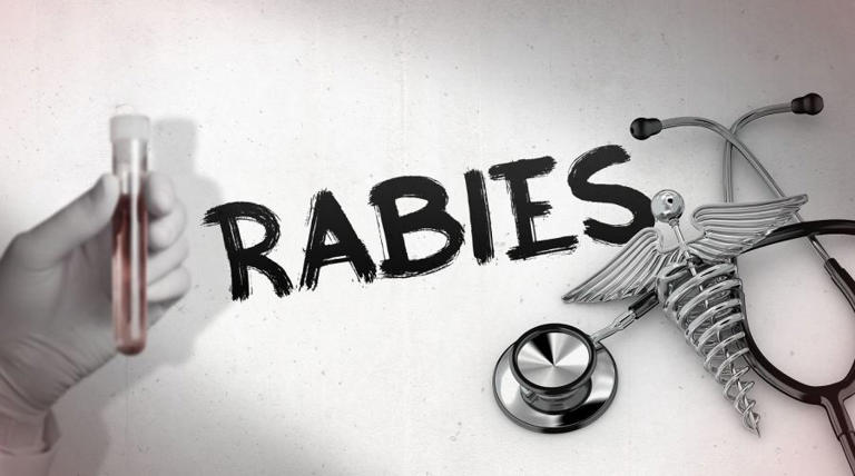 Richmond and Henrico Health Districts share rabies prevention tips