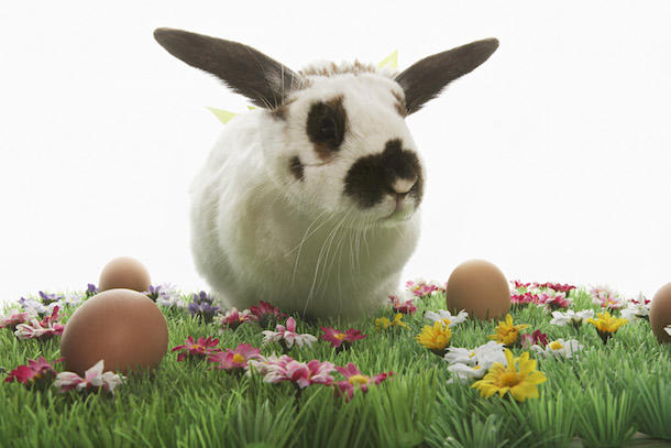 Minnesota Easter egg hunts 2026