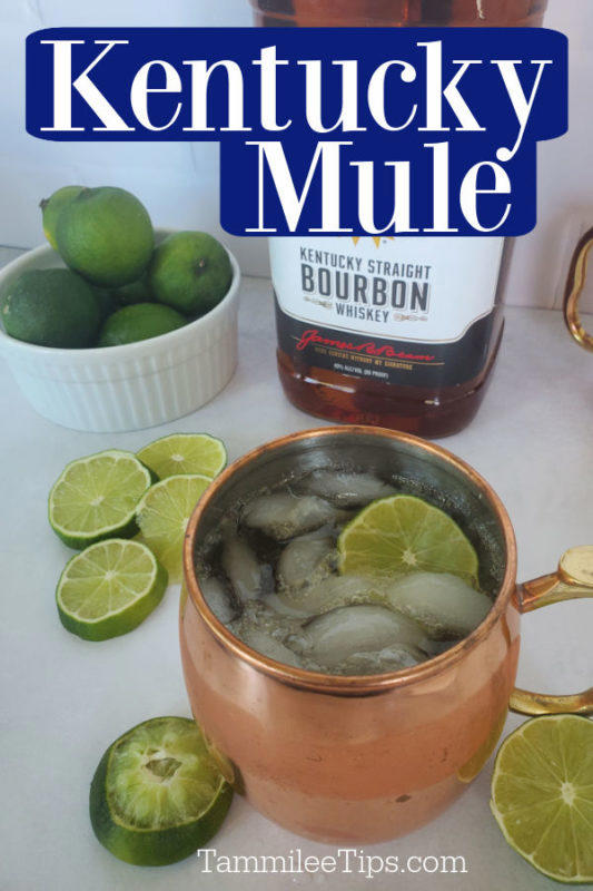 The Best Kentucky Mule Recipe