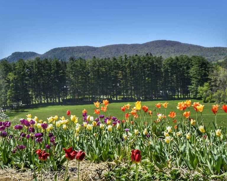 Your Perfect Weekend in the Berkshires: Stockbridge, Massachusetts