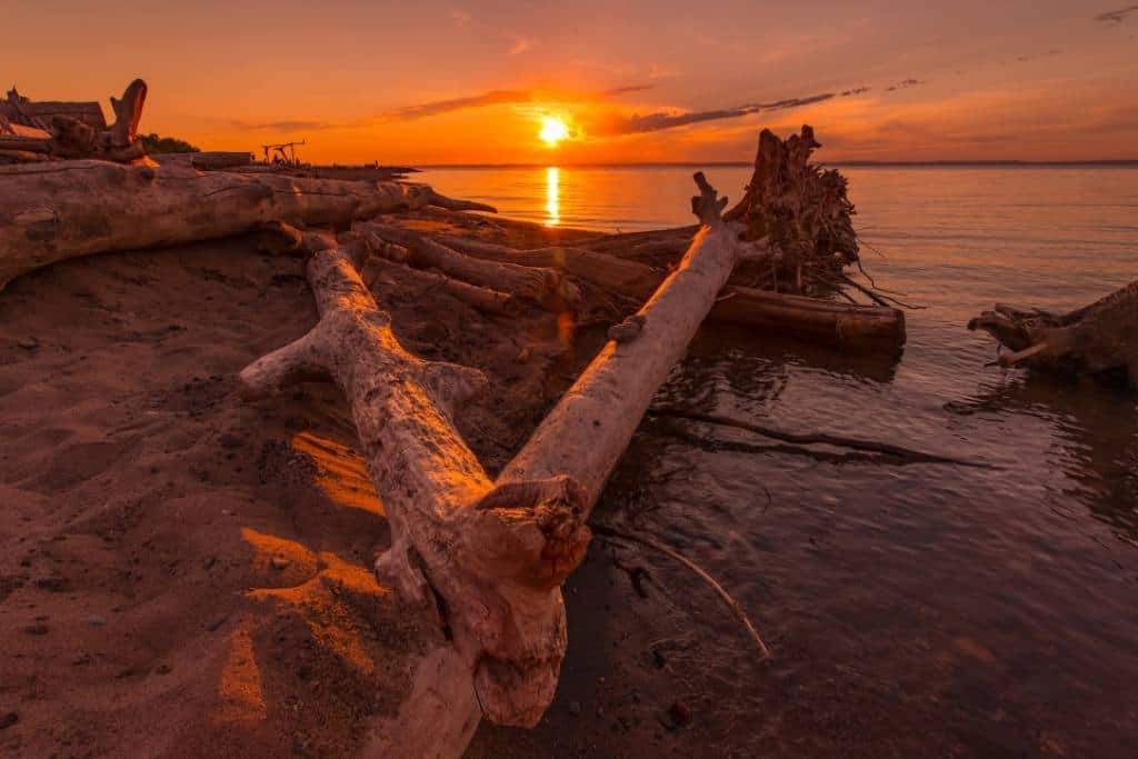 Fabulous hidden gems for Great Lakes camping [2026 edition]