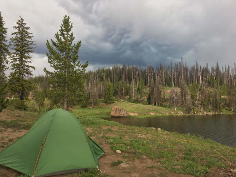 Camping 101: A complete guide to camping for beginners