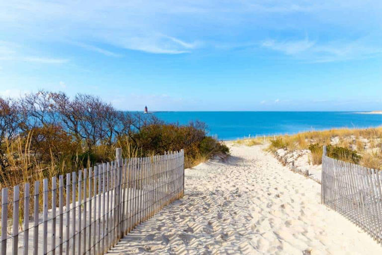 Magic in Delaware: Why We Love Cape Henlopen State Park