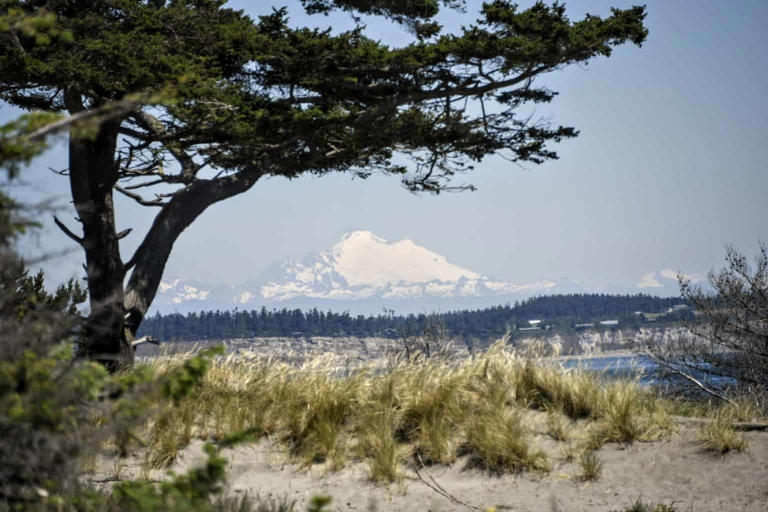 14 Things that Make Port Townsend, Washington, the Perfect Coastal Getaway