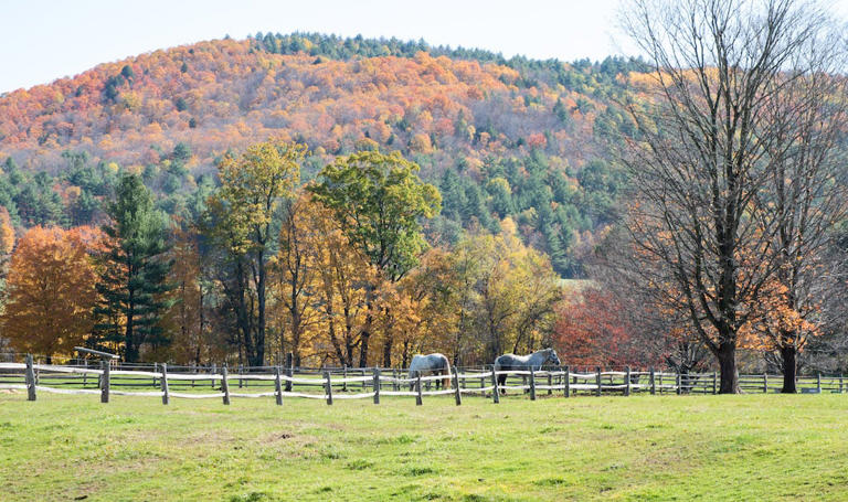 October in Vermont: 19 fall festivals to celebrate the season in 2026