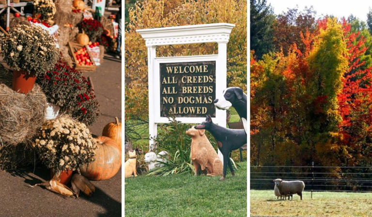 October in Vermont: 19 fall festivals to celebrate the season