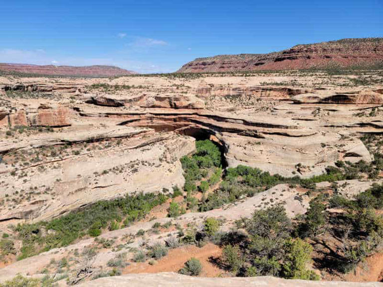 Epic Guide to Natural Bridges National Monument