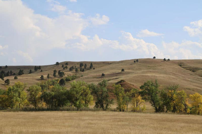 Complete guide to Wind Cave National Park