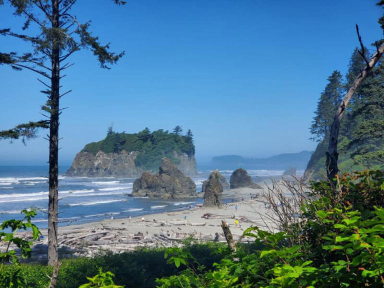Complete Guide to Olympic National Park