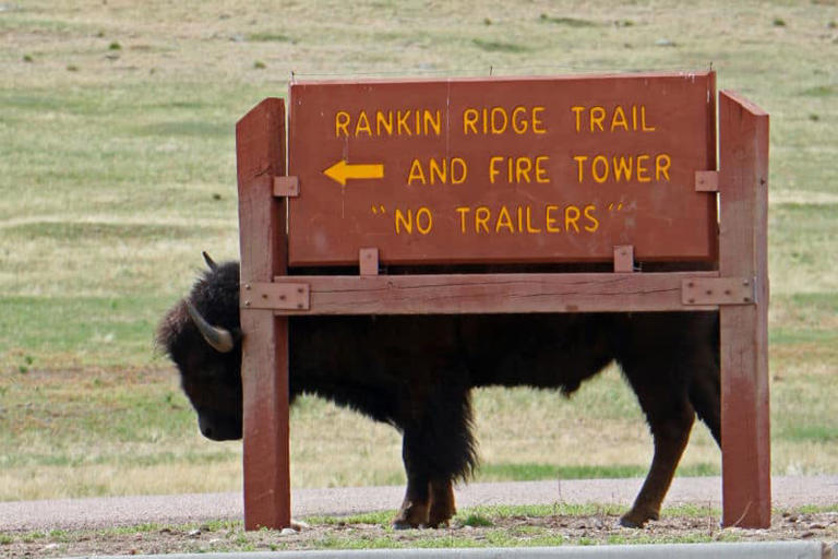 Wind Cave National Park - Epic Guide