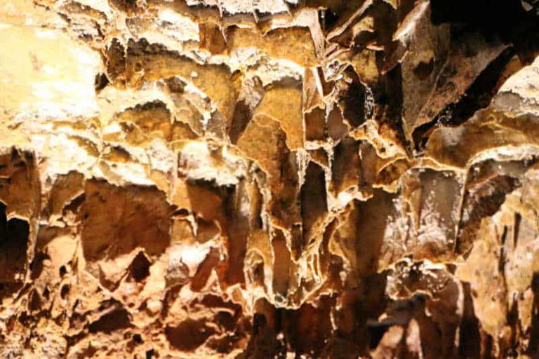 Wind Cave National Park - Epic Guide