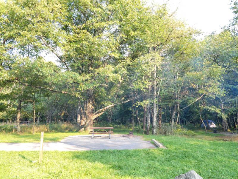 Big Meadows Campground - Shenandoah National Park