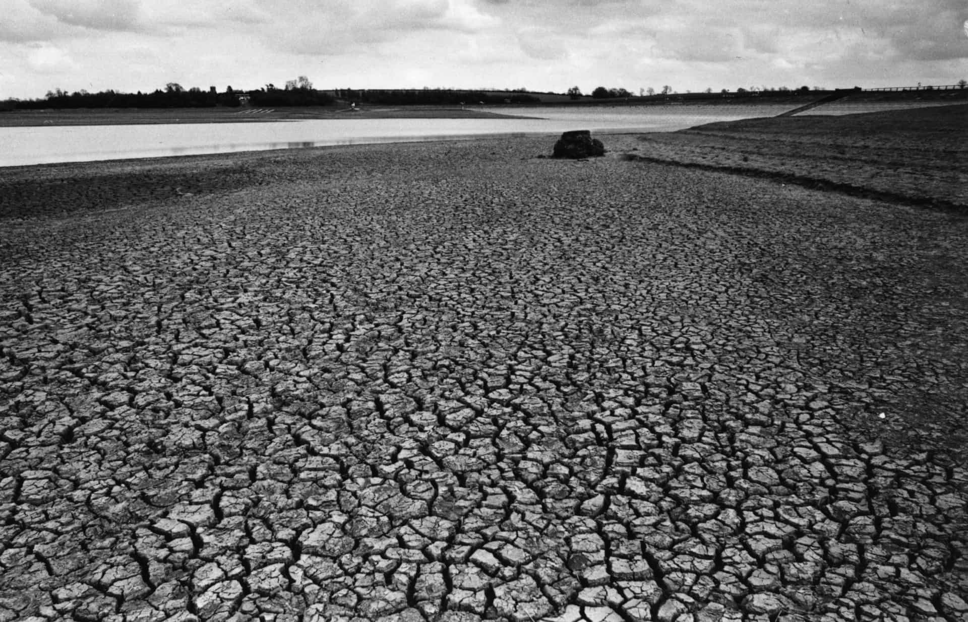 Time machine to the '80s: the decade's iconic events