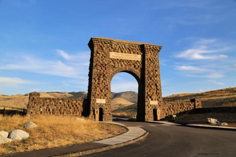 Epic Guide to Yellowstone National Park