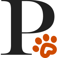 Rescue Dog's Transformation After Being Hit by a Car Has Everyone in Tears