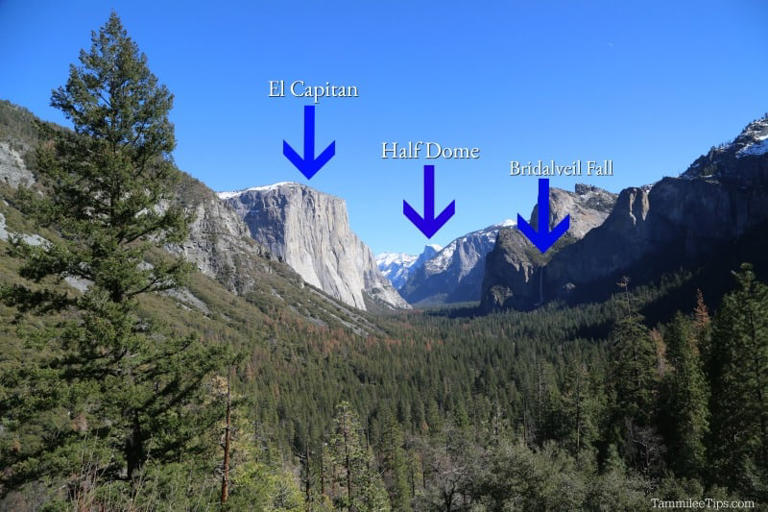 Complete Guide to Yosemite National Park