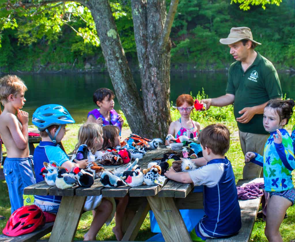 The Best Family Campgrounds in Vermont for Summer Fun