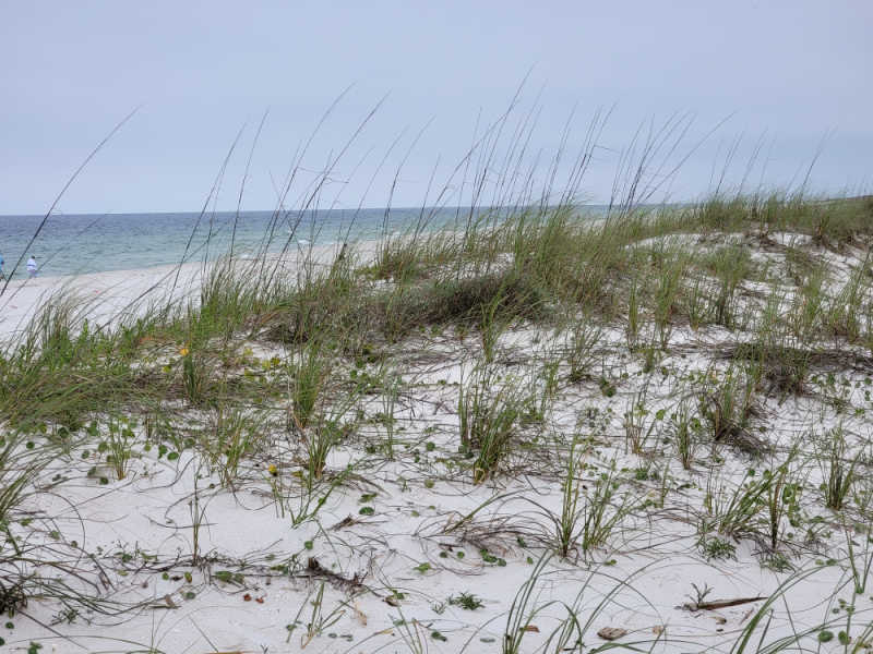 Epic Guide to Perdido Key State Park in Northwestern Florida