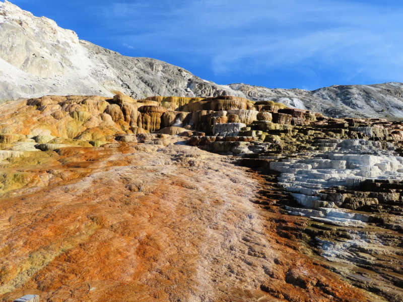 Mammoth Hot Springs - Yellowstone National Park