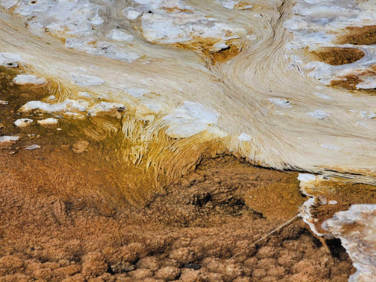 Mammoth Hot Springs - Yellowstone National Park