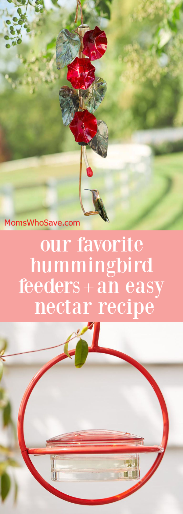 Our Favorite Unique Hummingbird Feeders + an Easy 2-Ingredient Nectar ...