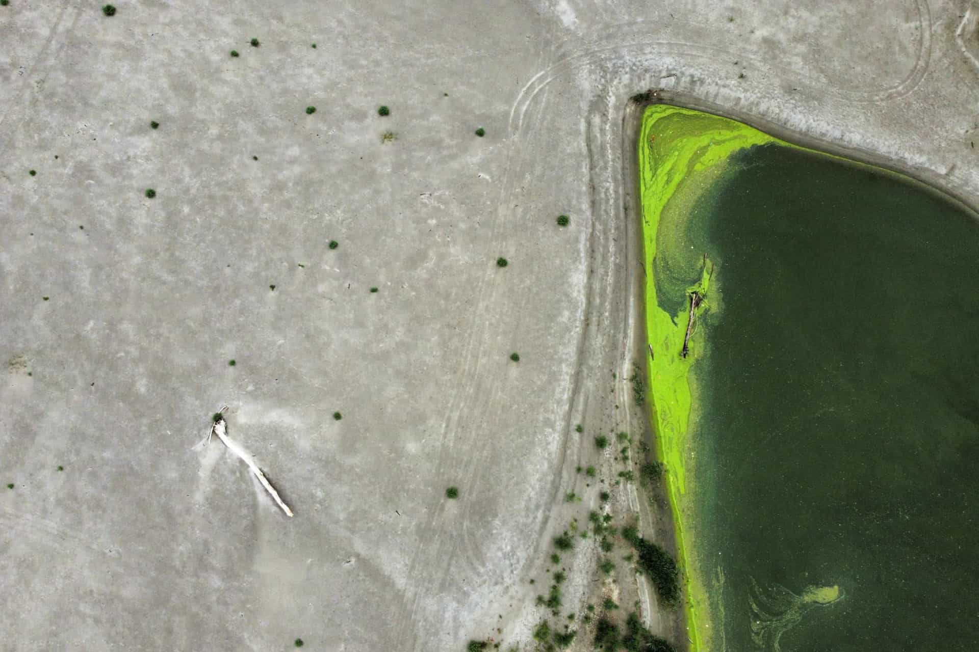 Unexpected discoveries when water levels drop