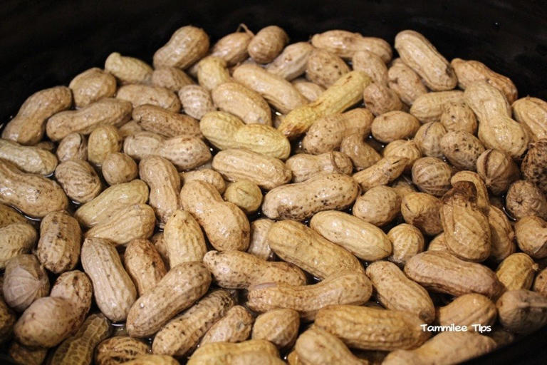 Crock Pot Cajun Boiled Peanuts Recipe
