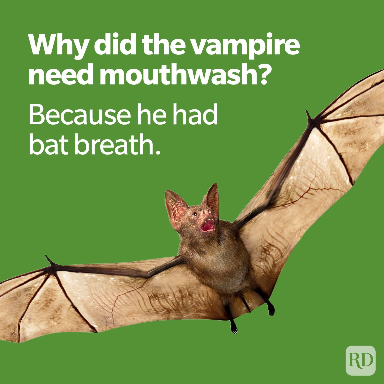 205 Halloween Jokes to Tickle Your Funny Bone