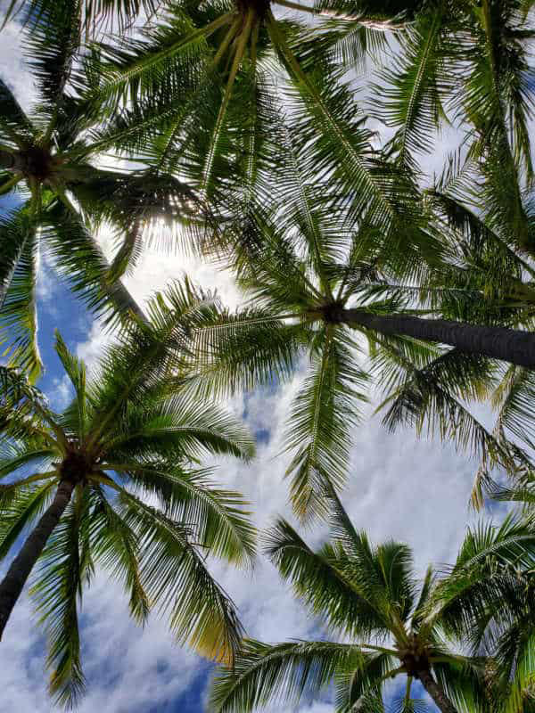 Epic Guide to Kaloko Honokohau National Historical Park