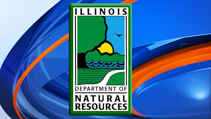 Illinois halts gray fox hunting, trapping indefinitely
