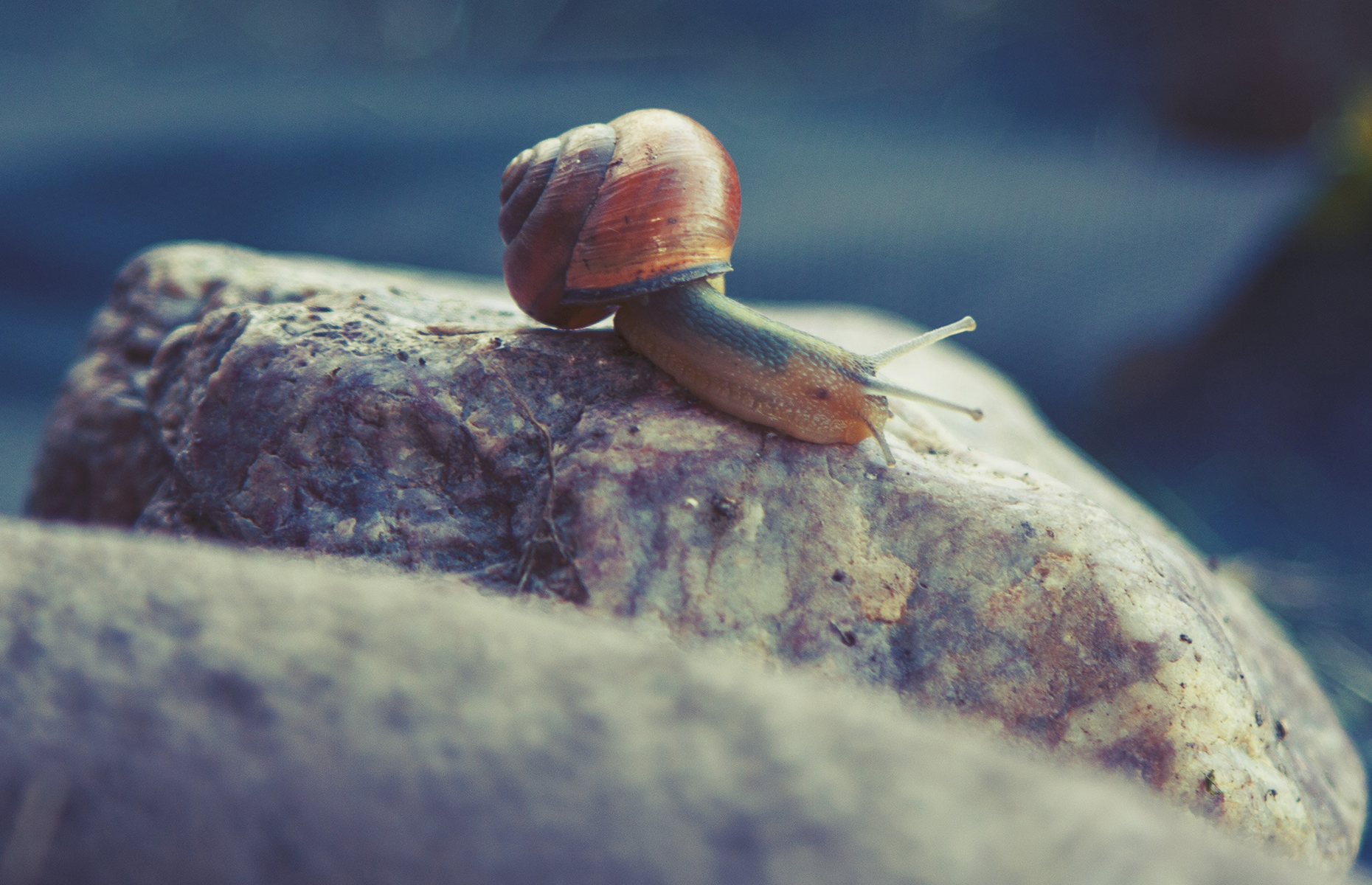 Stop irrational spending with these tricks