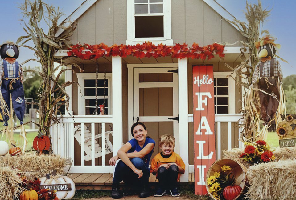 Ultimate Guide to Fall Festivals in 2025 for DC Families