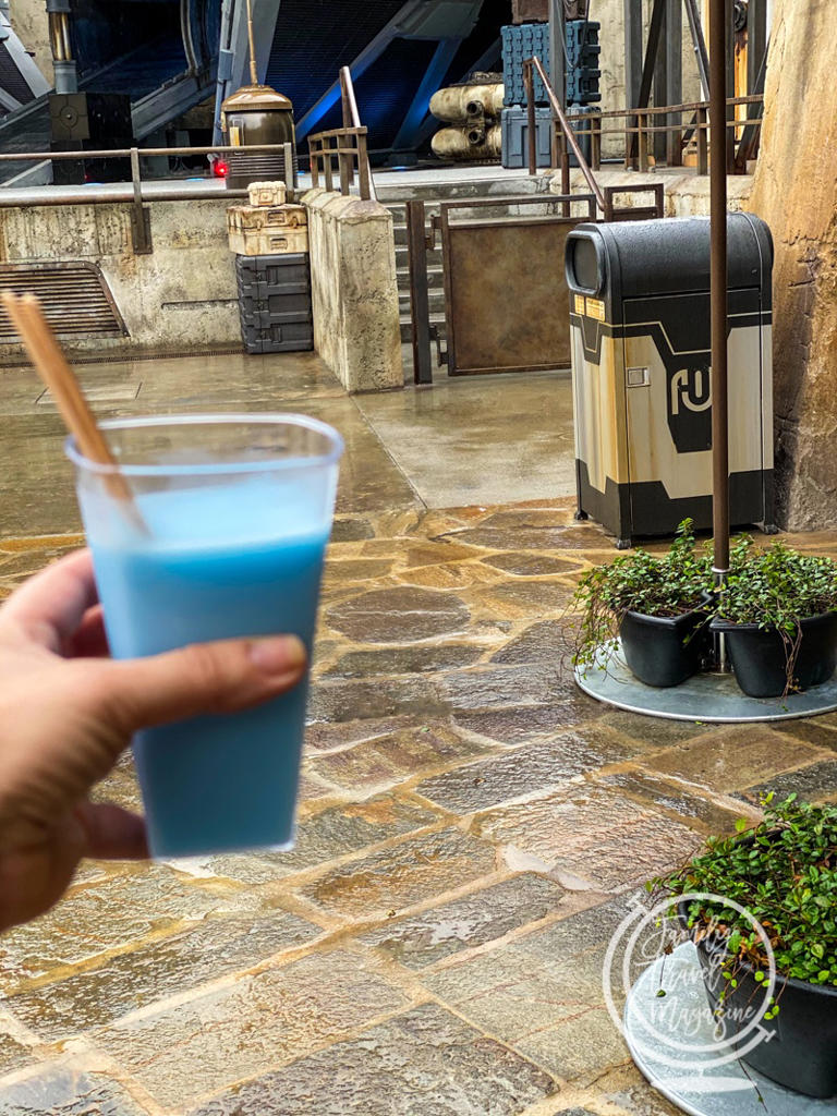 Solo Disney World trip tips: How to plan a fun day on your own