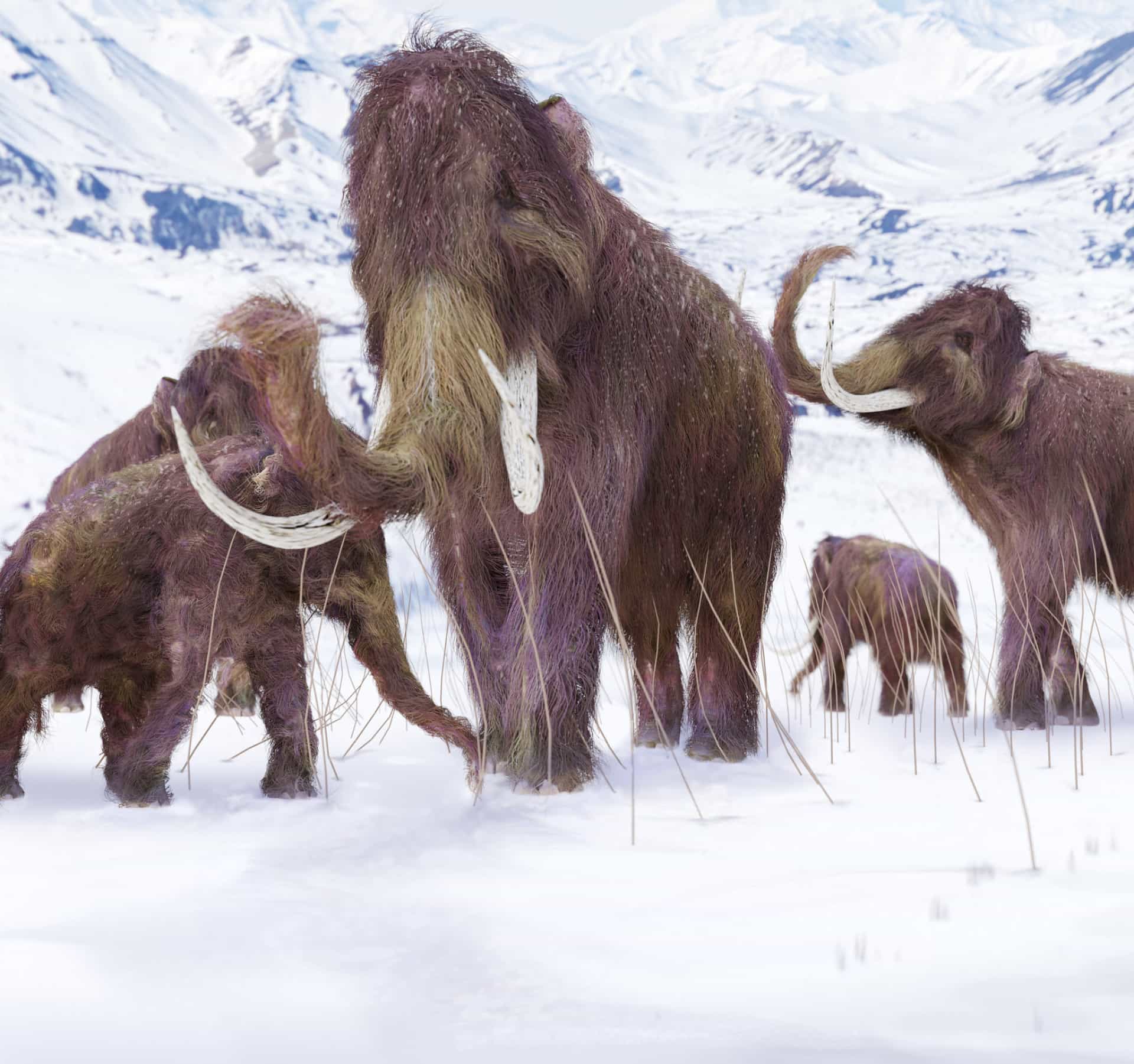 Prehistoric animals you won't believe existed