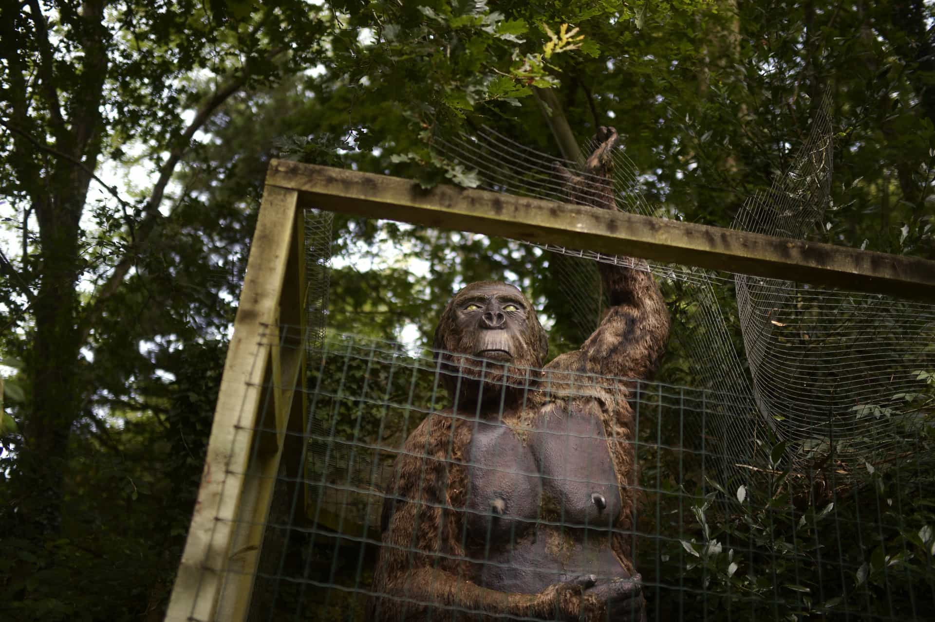 Prehistoric animals you won't believe existed