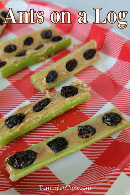 Classic Ants on a Log after school snack