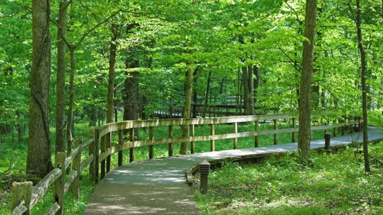 Epic Guide to Mammoth Cave National Park