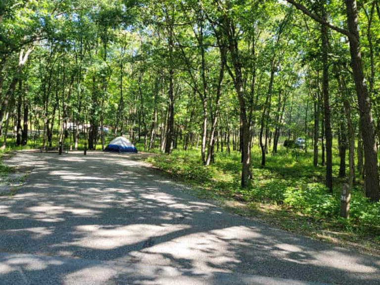 Dunewood Campground - Indiana Dunes National Park
