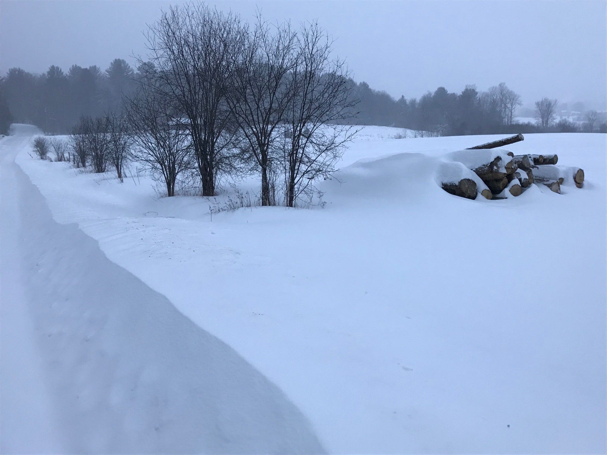 What colors represent each month of the year?